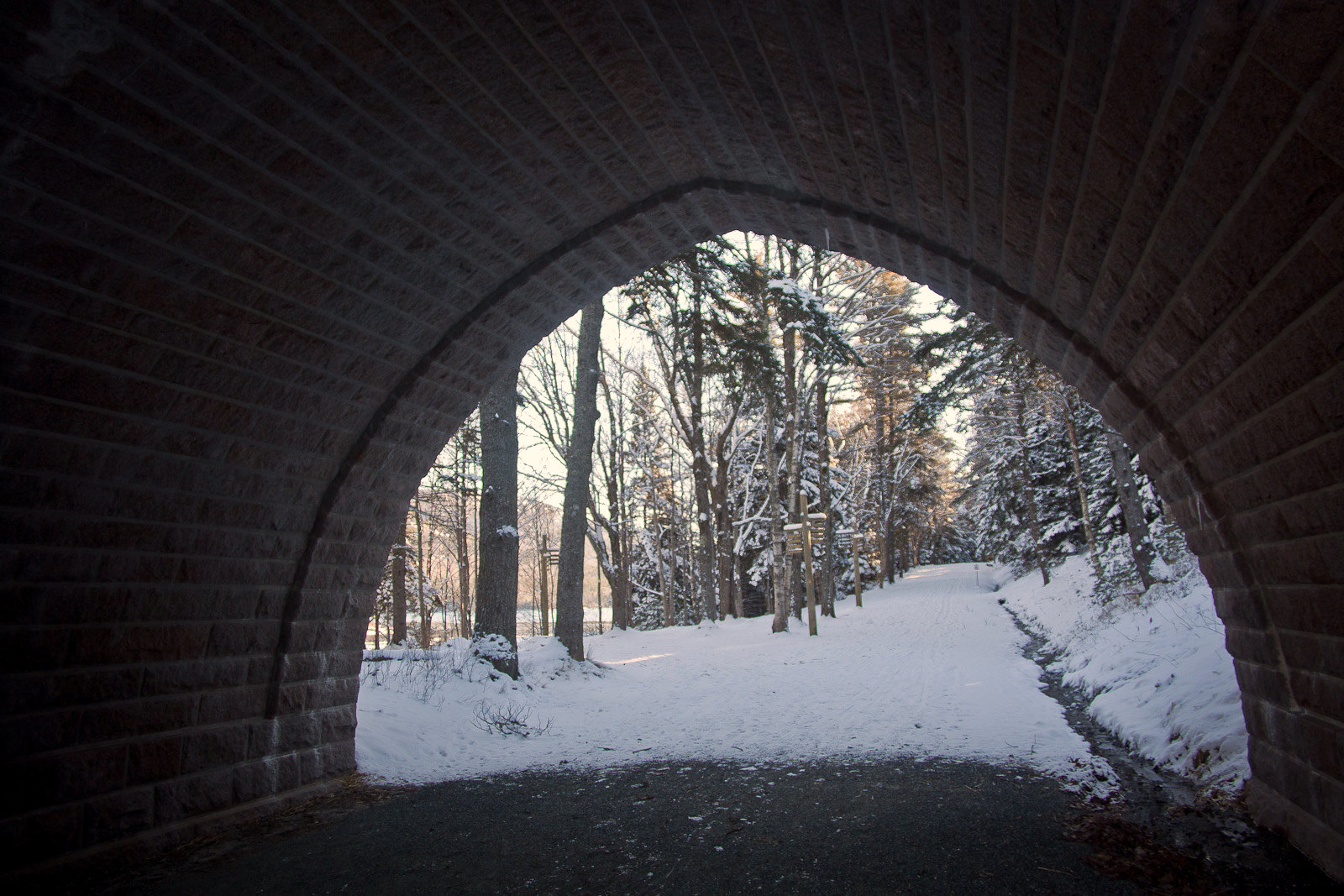 Tips for Visiting Acadia National Park in Winter – Maine to the Max